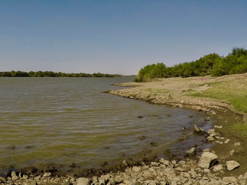 Day 15: Even spiders have a right to live—so I’ve been told — ALEX ...